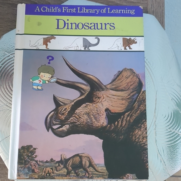 Other | A Childs First Library Of Learning Dinosaurs Book | Poshmark